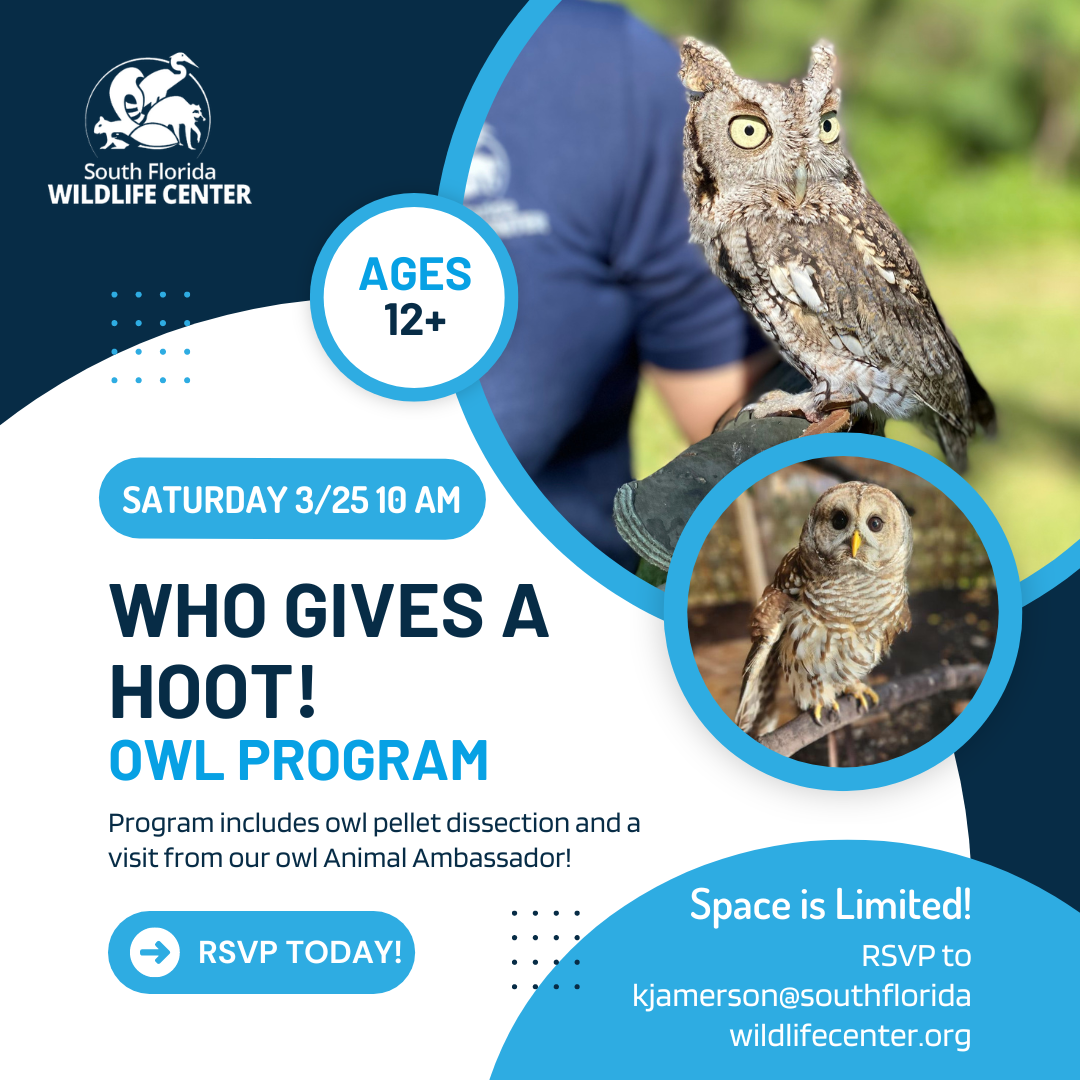 Who Gives A Hoot! - South Florida Wildlife Center