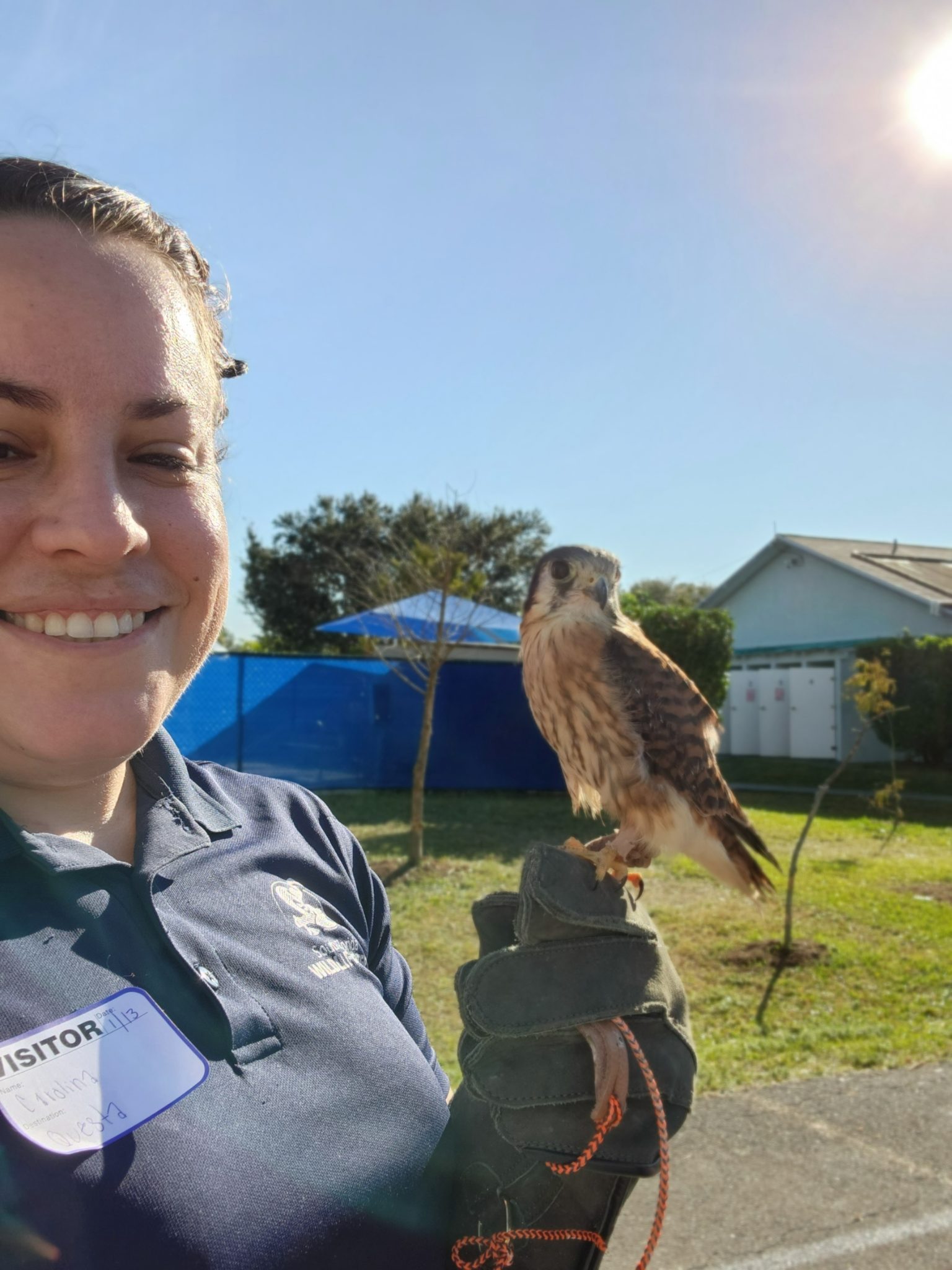 South Florida Wildlife Center – Saving Wildlife in Our Urban Jungle