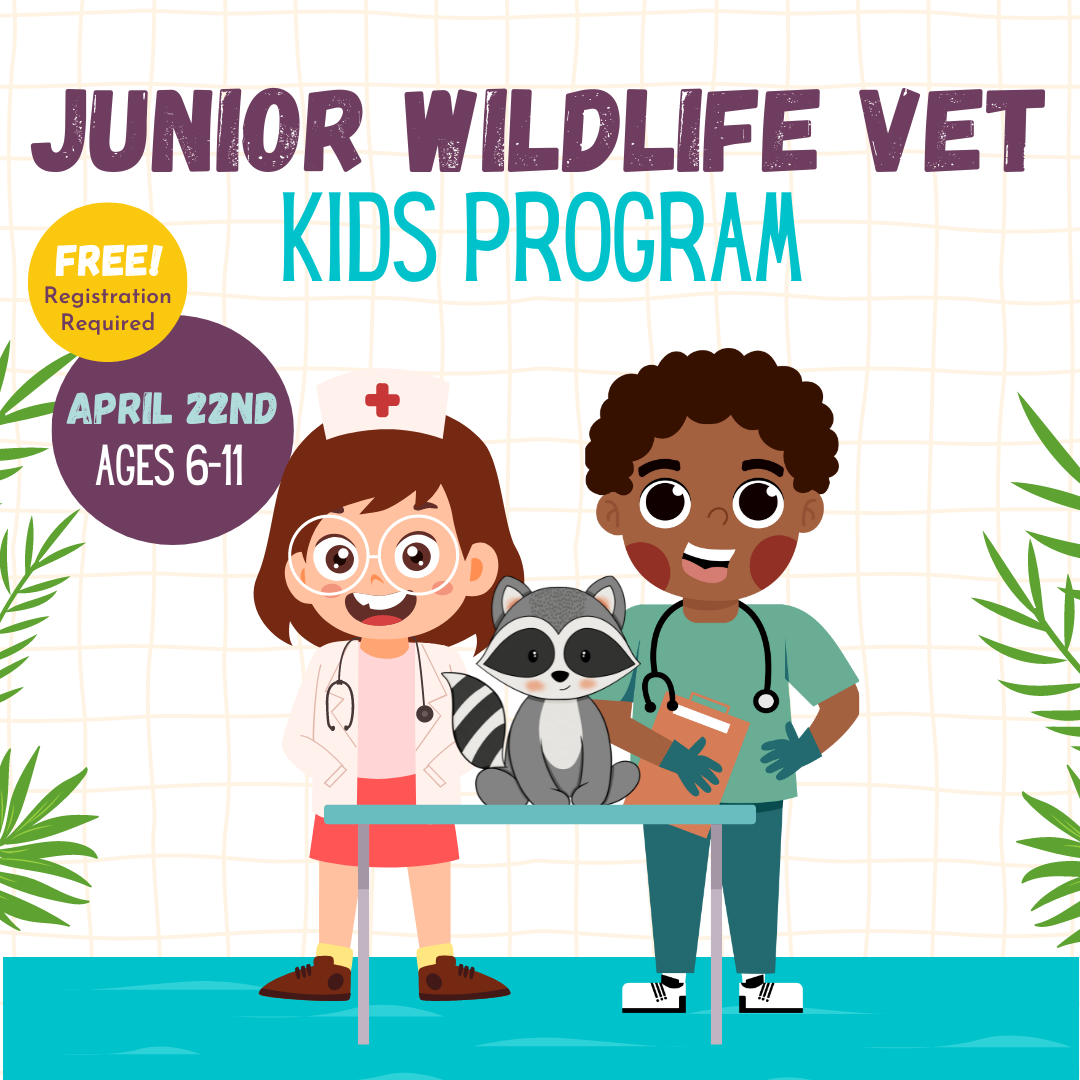 Junior Wildlife Vet Kids Program - South Florida Wildlife Center