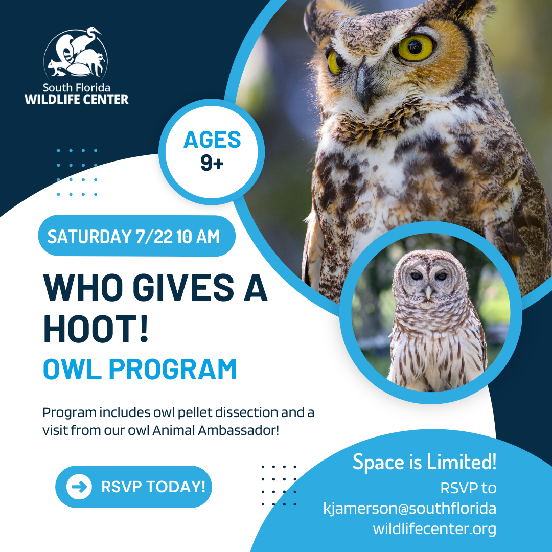 Who Gives a Hoot! - South Florida Wildlife Center