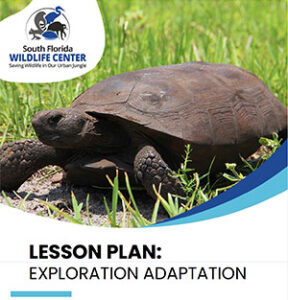 Educational Programs - South Florida Wildlife Center