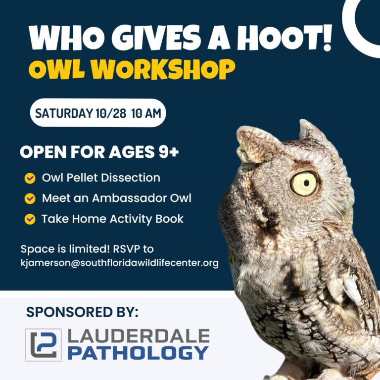 Who Gives a Hoot! - South Florida Wildlife Center