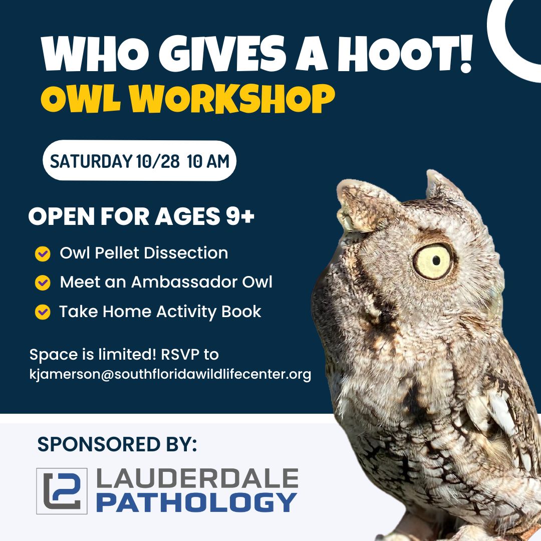 Who Gives a Hoot! - South Florida Wildlife Center