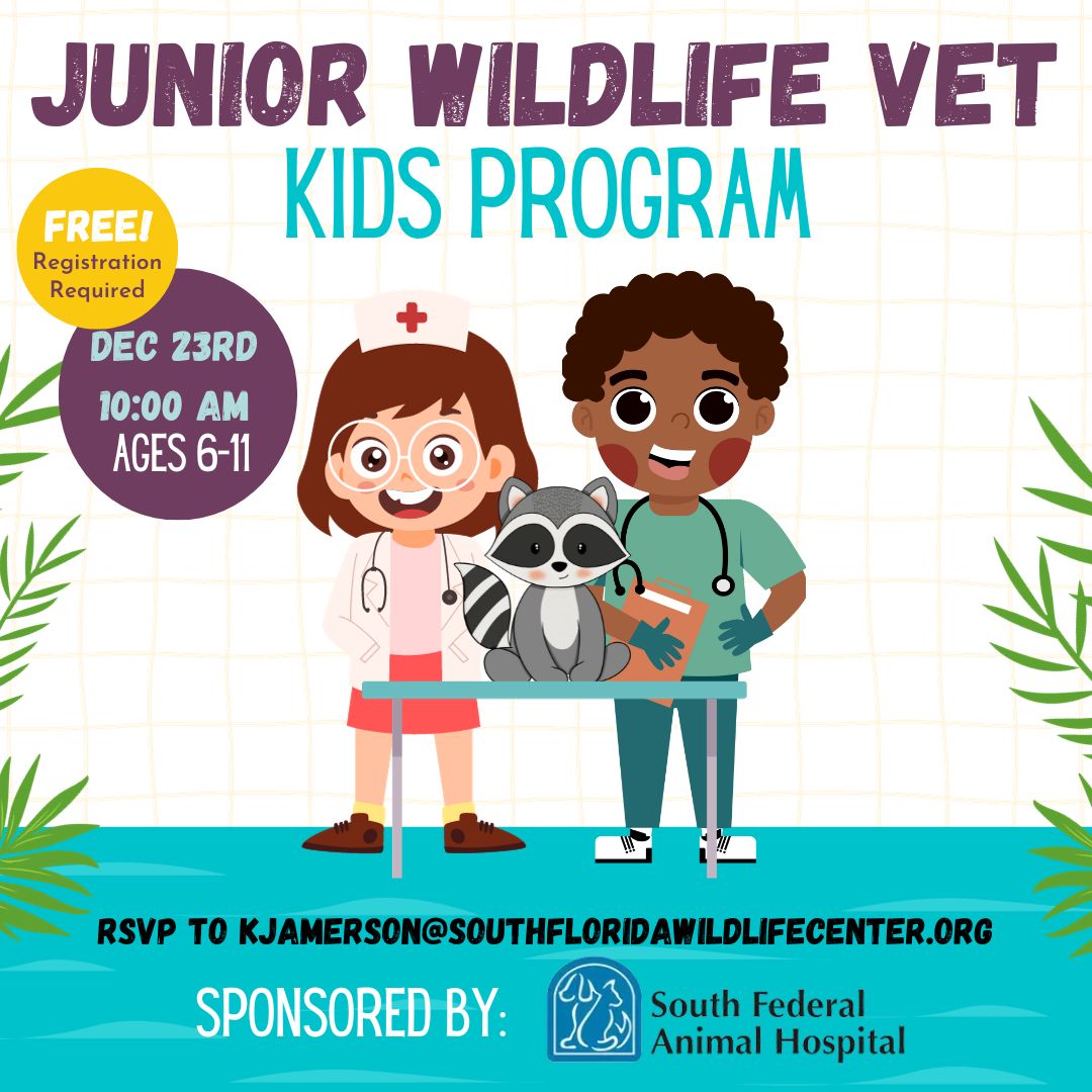 Junior Wildlife Vet Kids Program - South Florida Wildlife Center